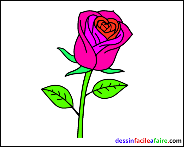 Comment dessiner une rose facilement - Dessin facile a faire