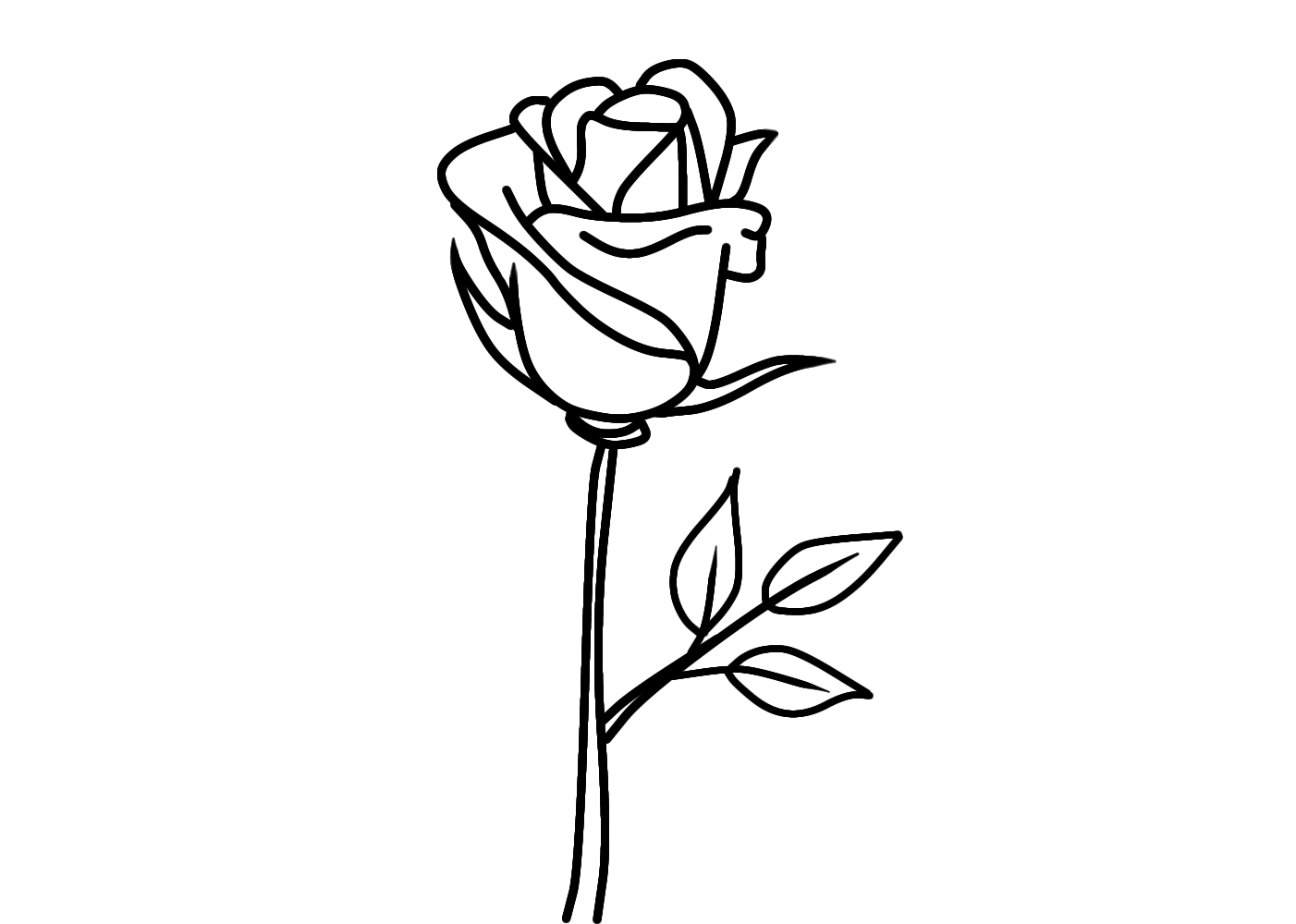 Comment dessiner une rose facile - Dessin facile a faire